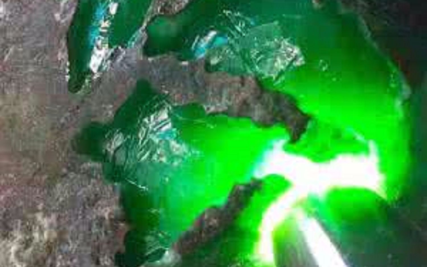 500块的木那杨梅皮翡翠原石,一刀竟切出冰阳绿翡翠!美女乐开花了