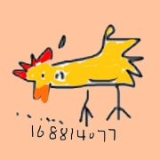 下蛋公鸡中的战斗鸭 