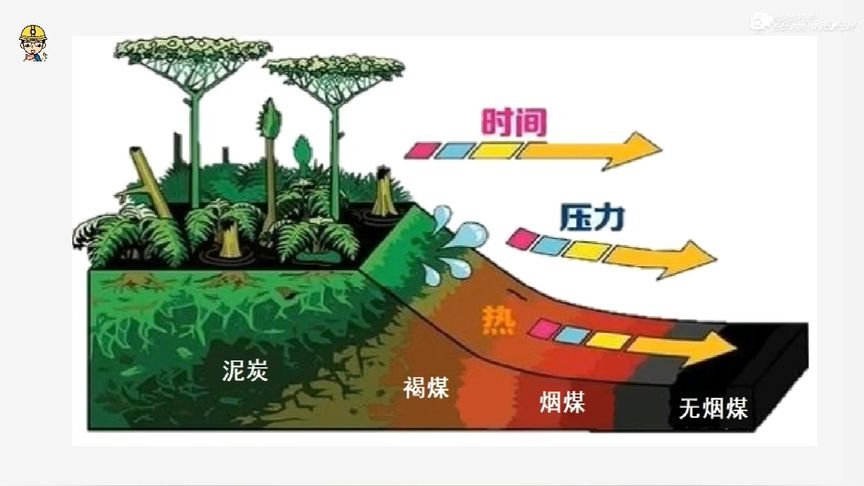 煤炭是怎样形成的?涨姿势了