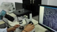 金属-金相显微镜操作及组织观察