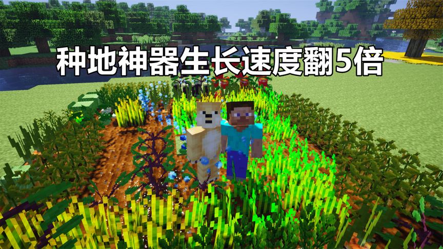 我的世界:萌新生存 05 种地神器洒水器生长速度翻5倍