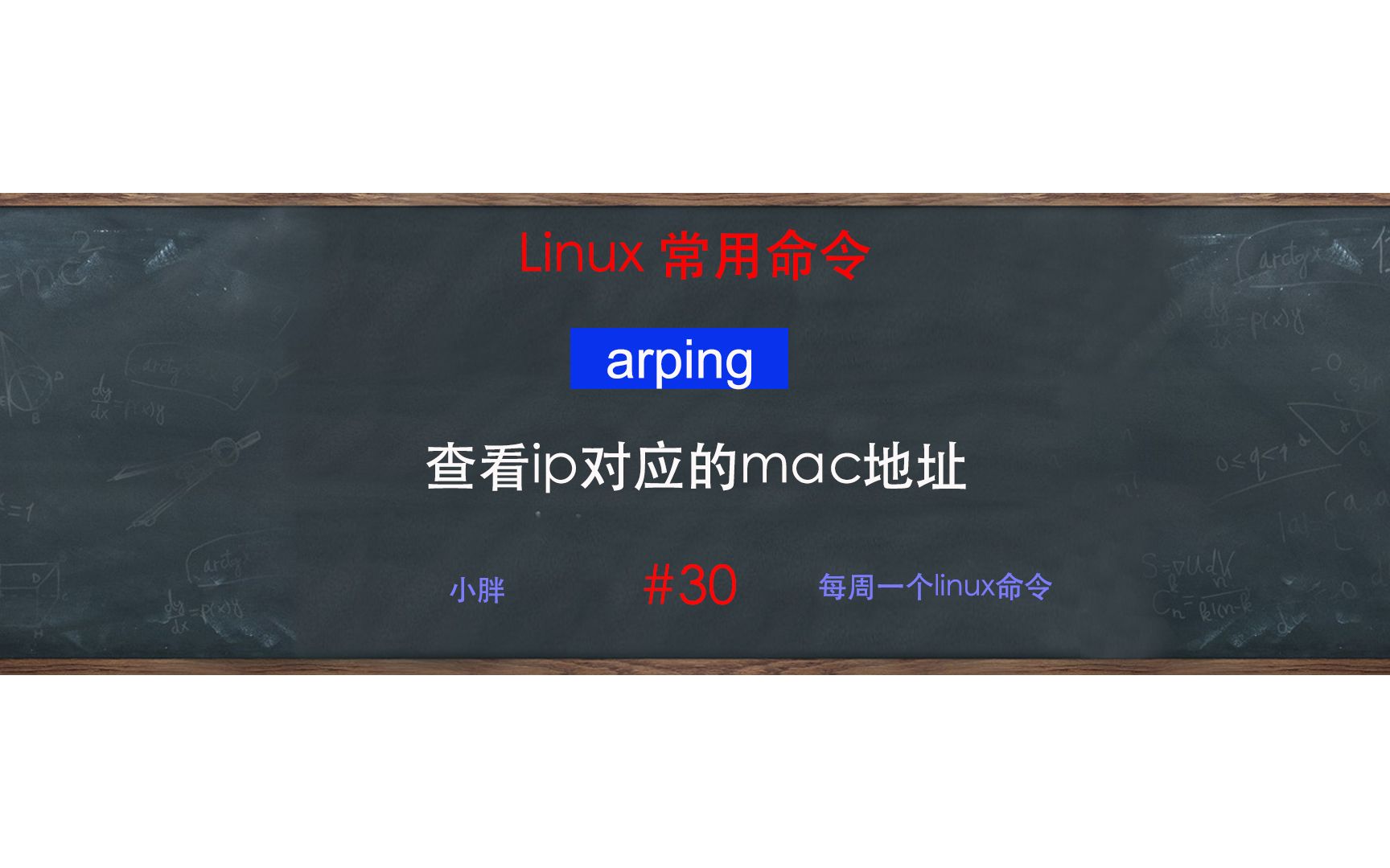 arping命令 ip冲突检测 mac地址检测