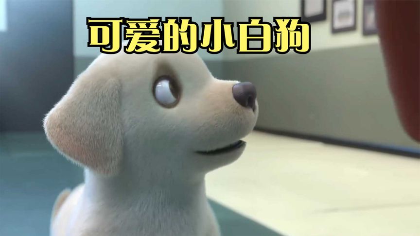 狗狗动画片、聪明的小狗、会不断的学习比别的狗狗更让主人喜欢