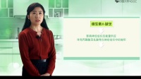 维生素的故事 脚气病与维生素B1