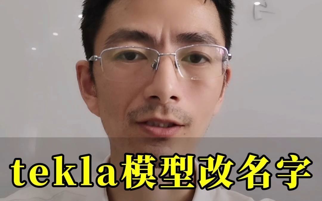 tekla模型如何改名字