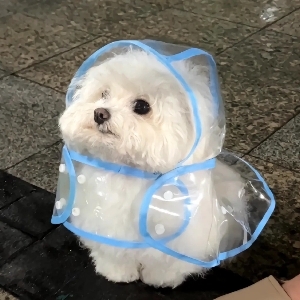 食堂干饭小公主 