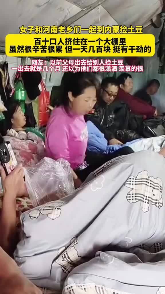 女子和老乡一起到内蒙捡土豆,虽然累,但是值得