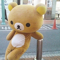 fannie进口知识小站 