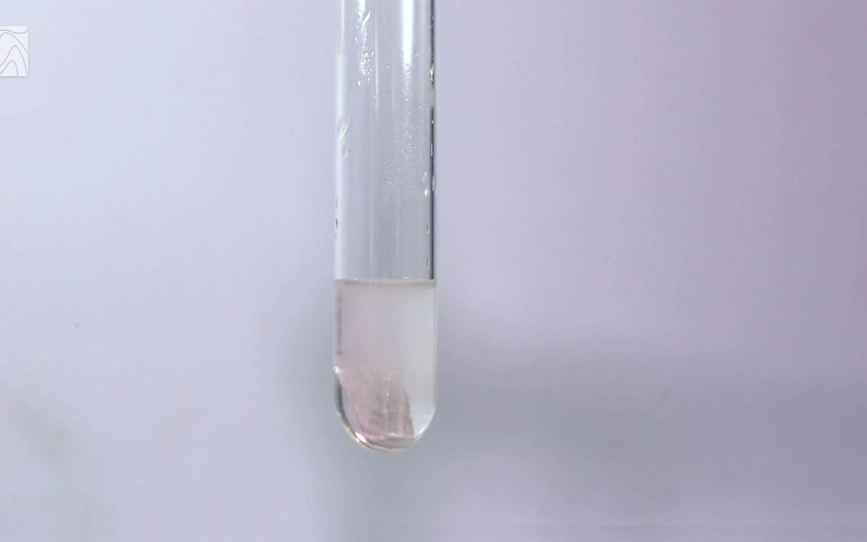 金属与盐酸、稀硫酸的反应