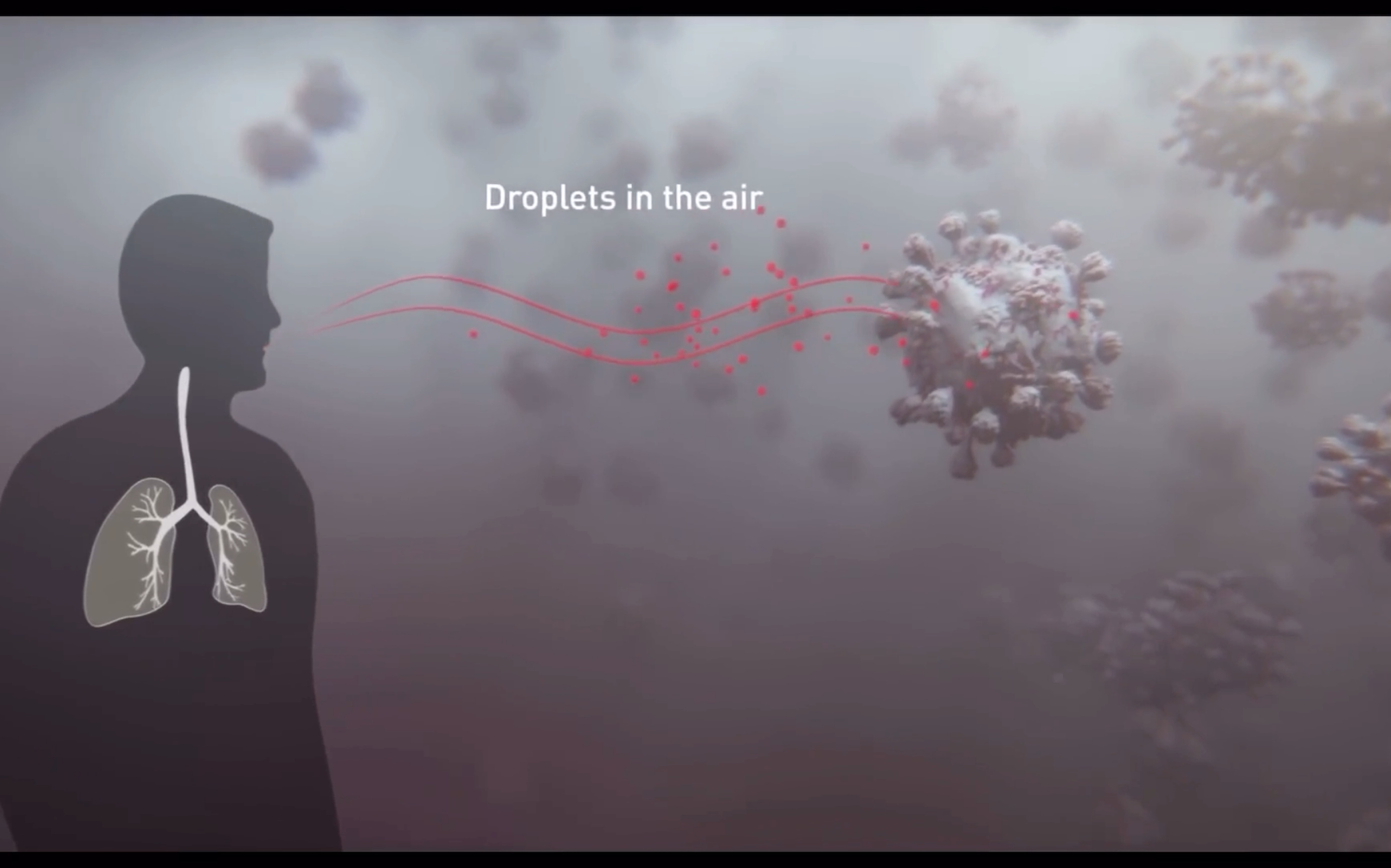 新冠病毒的传播演示