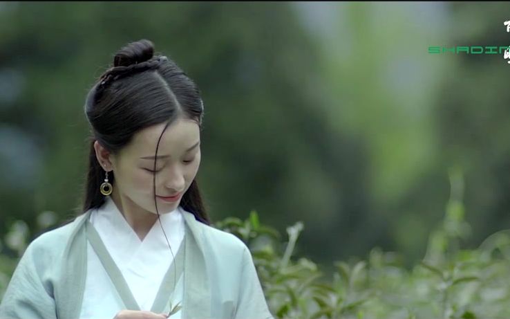 希映案例 南粤云雾茶宣传片