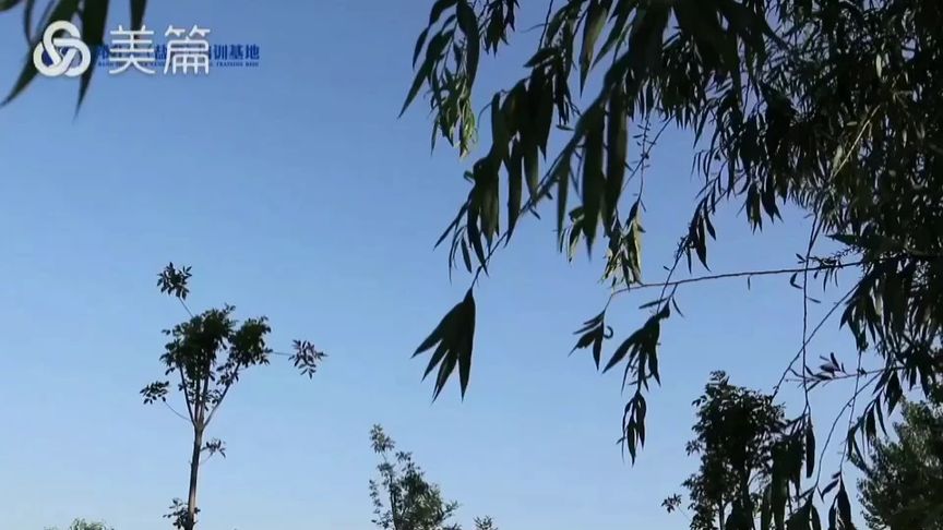 盐山职教计算机网络技术专业,伴你积攒破茧成蝶的力量!