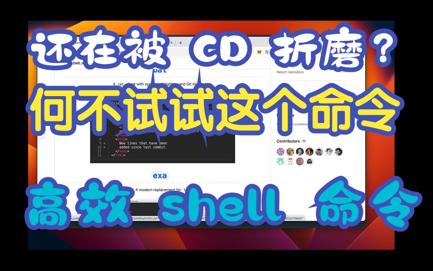 推荐用这些命令替换 ls cd 和 cat - 打造我的终端环境
