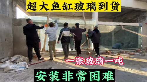 鱼缸超大玻璃到位直接安装