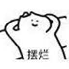 宇宙无敌霹雳帅气皮总 