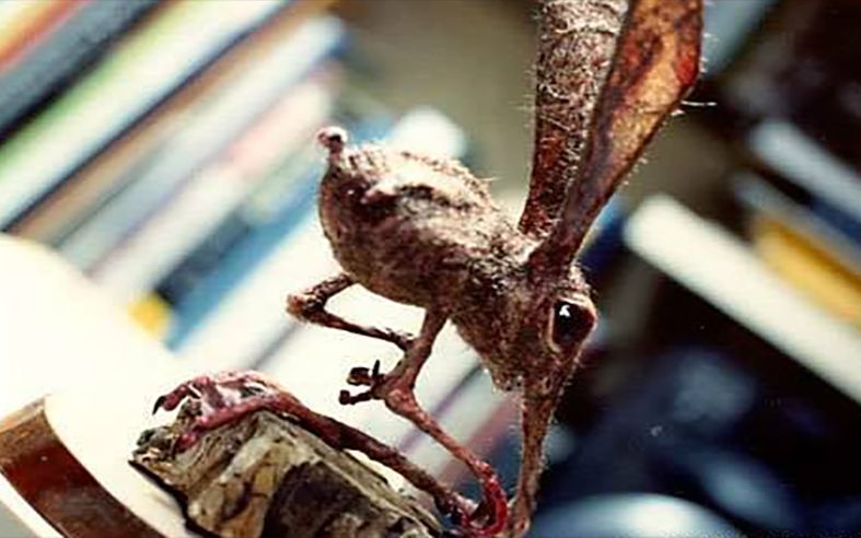 世界上最诡异的动物,四肢退化用“鼻子”行走,比异形恶心!