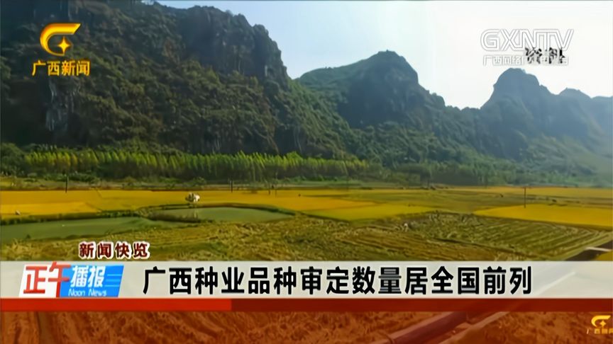 广西种业品种审定数量居全国前列
