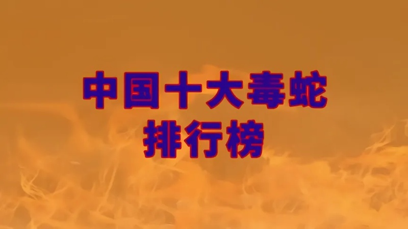 中国十大毒蛇排行榜