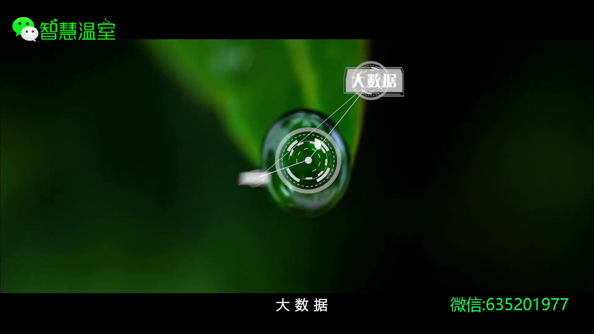 数字农业才是农业发展的方向,智慧农业,未来可期
