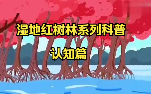 湿地红树林系列科普--认知篇,为什么叫红树?有什么种类?