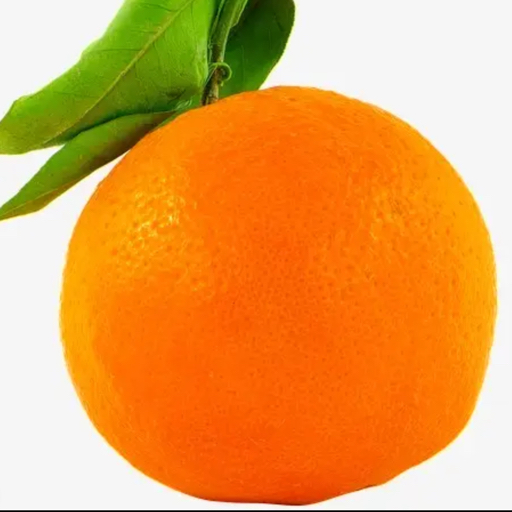 英俊潇洒的橙子 