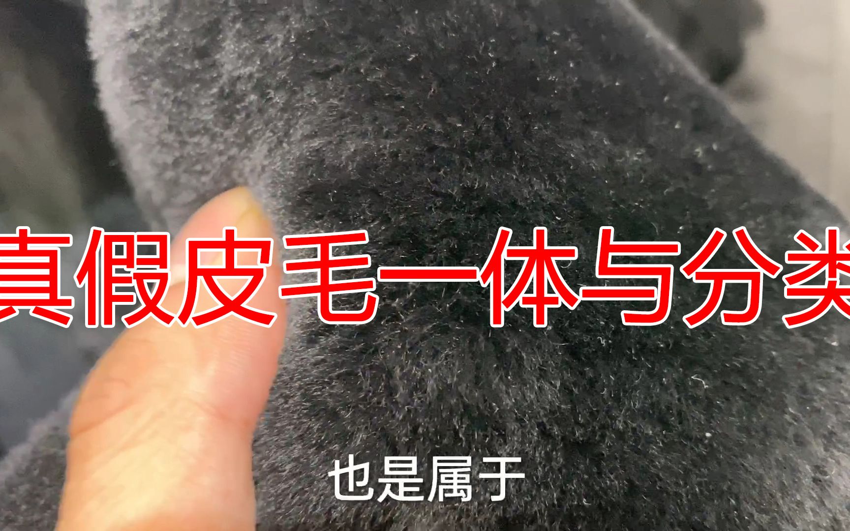 皮毛一体的常见面分类有哪些?如何识别真假皮毛一体?