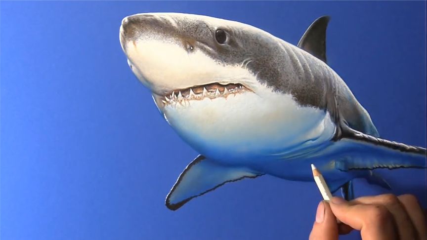 牛人教你画鲨鱼,3分钟学会一幅画,兴趣班的钱也省啦