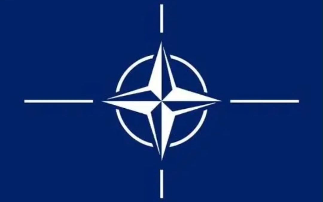 CAD绘制北约组织标志的方法