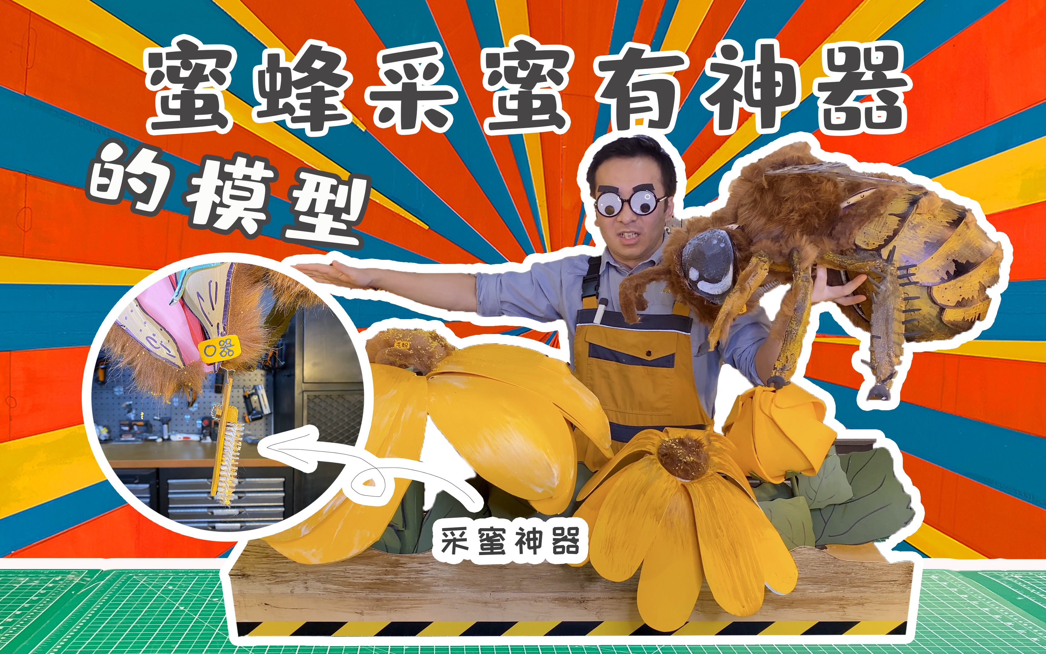 蜂蜜怎么来的?模型揭秘蜜蜂采蜜全过程!