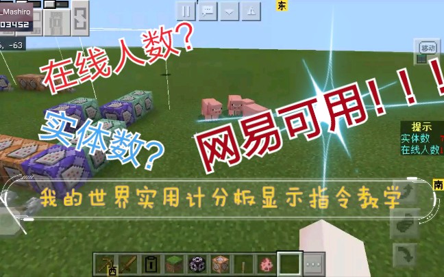 【包学包会】教你用指令显示在线人数实体数【网易可用!】
