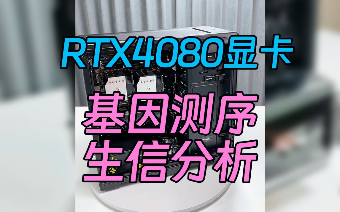 这台生信分析服务器,40核心至强CPU,256G内存,RTX4080显卡,用GPU...