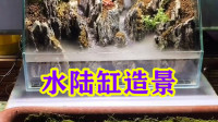 水陆缸造景教程来了,快收藏