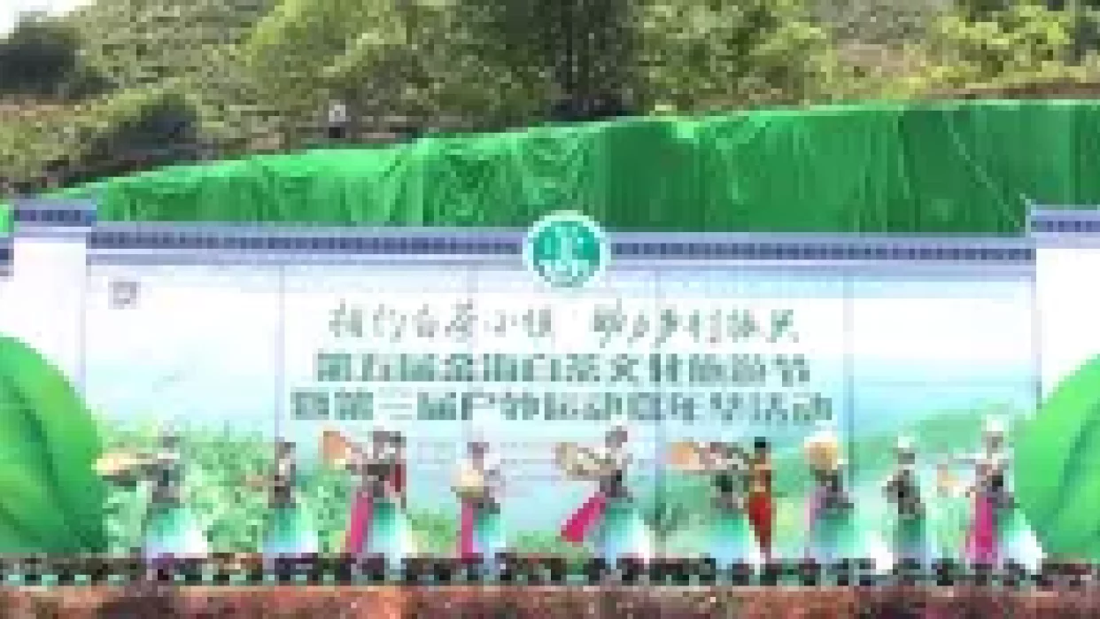 武汉采茶舞斗笠舞演出18672791302 武汉金帝歌舞团茶山情歌采茶舞...