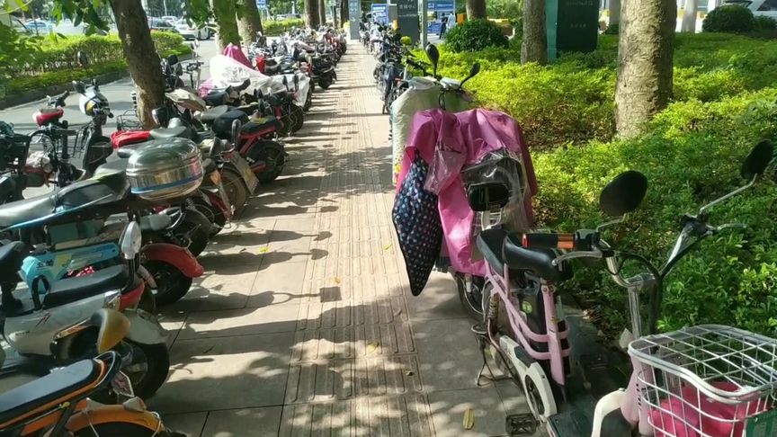 第一次来惠州,第一次看到这么多电动自行车,广东其他城市没有吧
