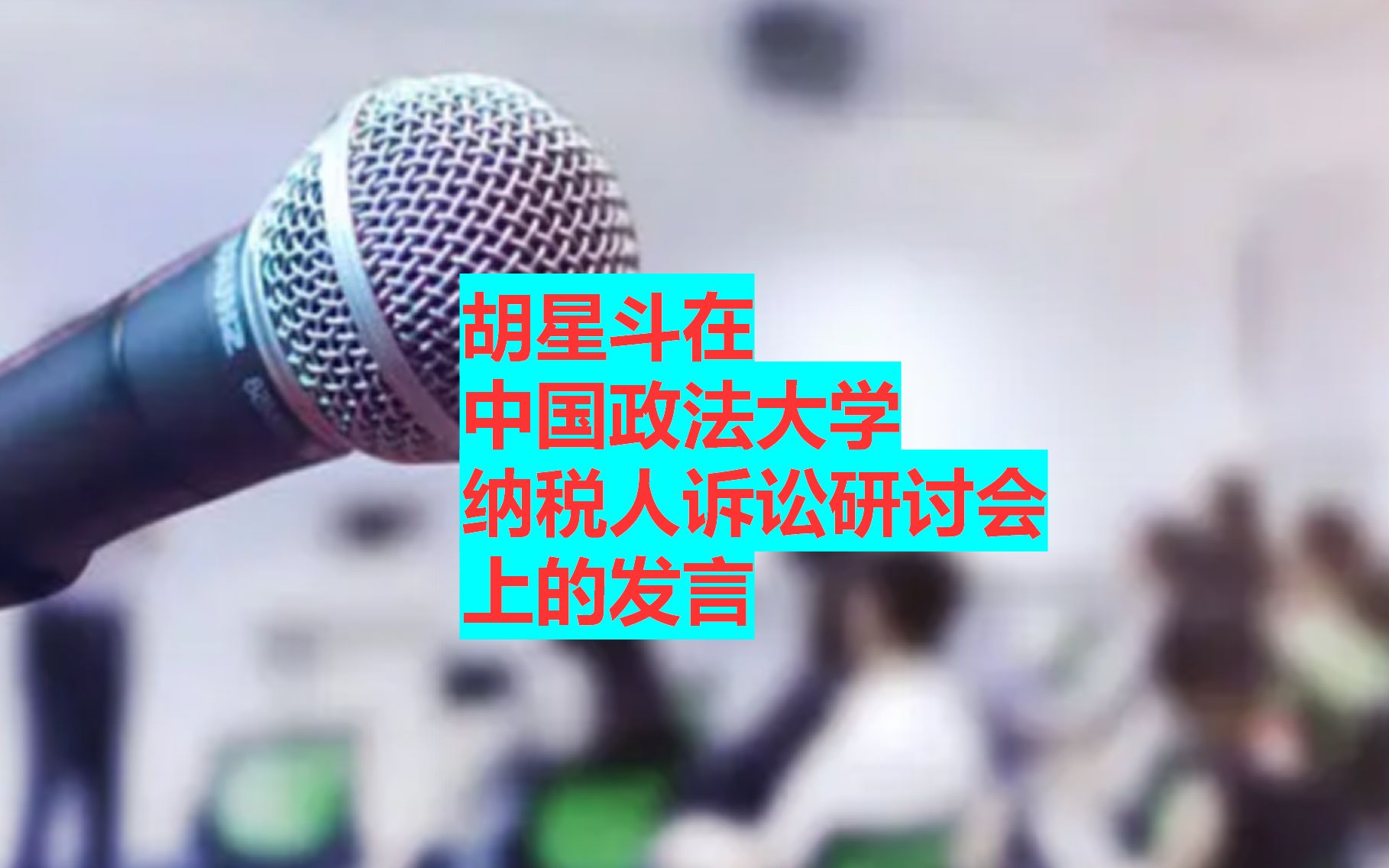 胡星斗教授在中国政法大学纳税人诉讼研讨会上的发言