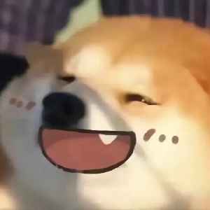 你的小小董 