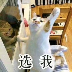 丹成学长 