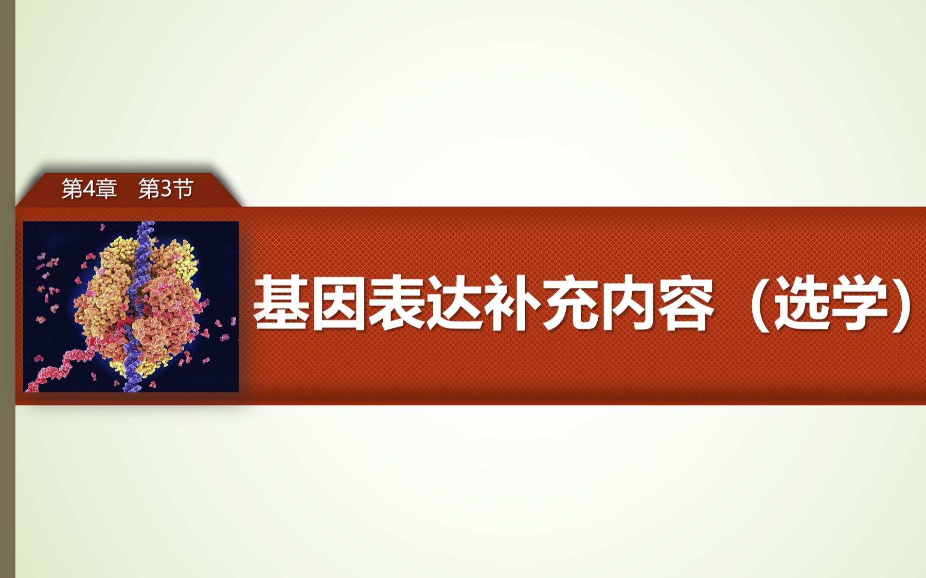 4.3基因表达补充内容(选学)