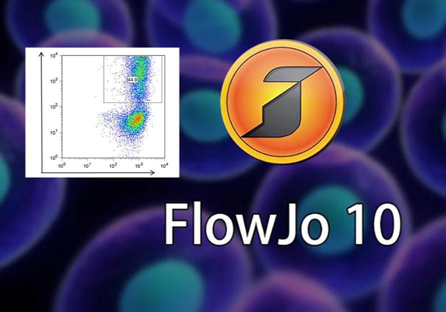 学会怎样用FlowJo编辑流式结果图