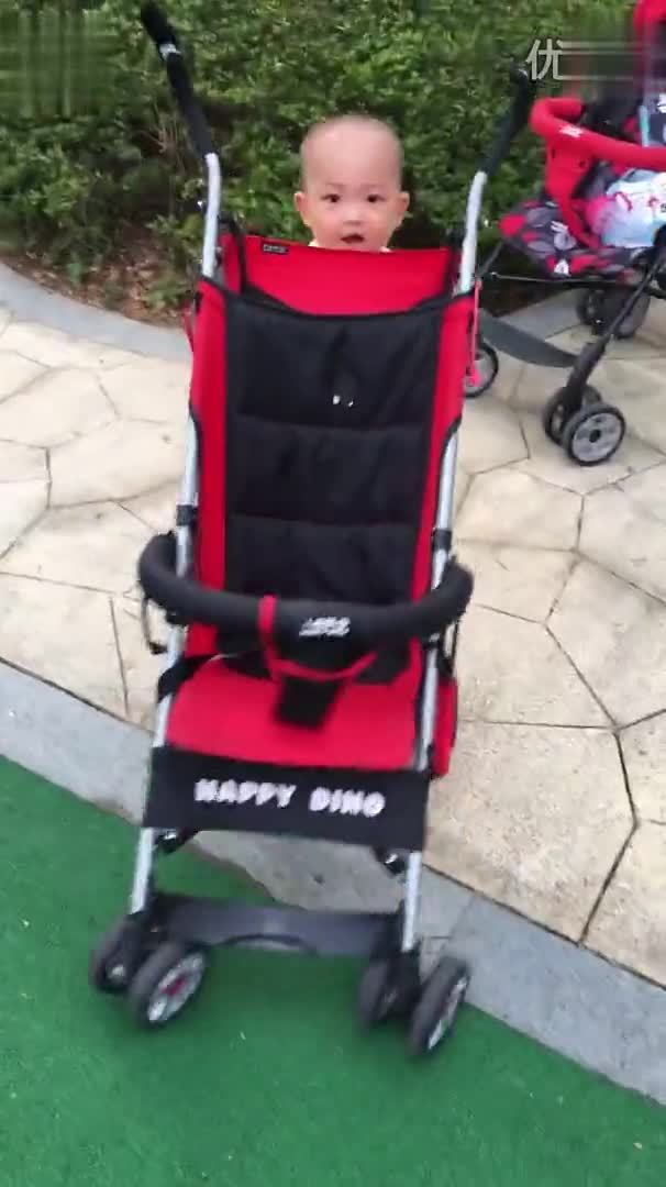 推推车 到处跑 举高高(宝宝一岁87天了)