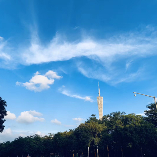 悟空3998 
