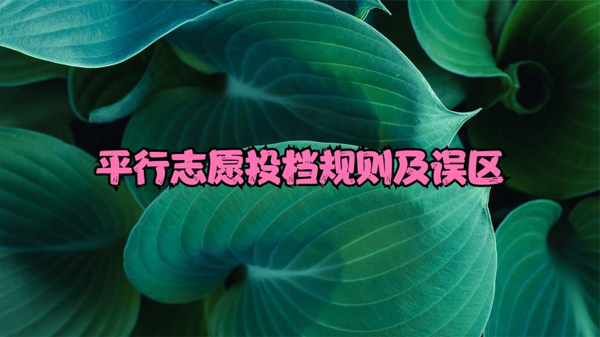 平行志愿投档规则及误区