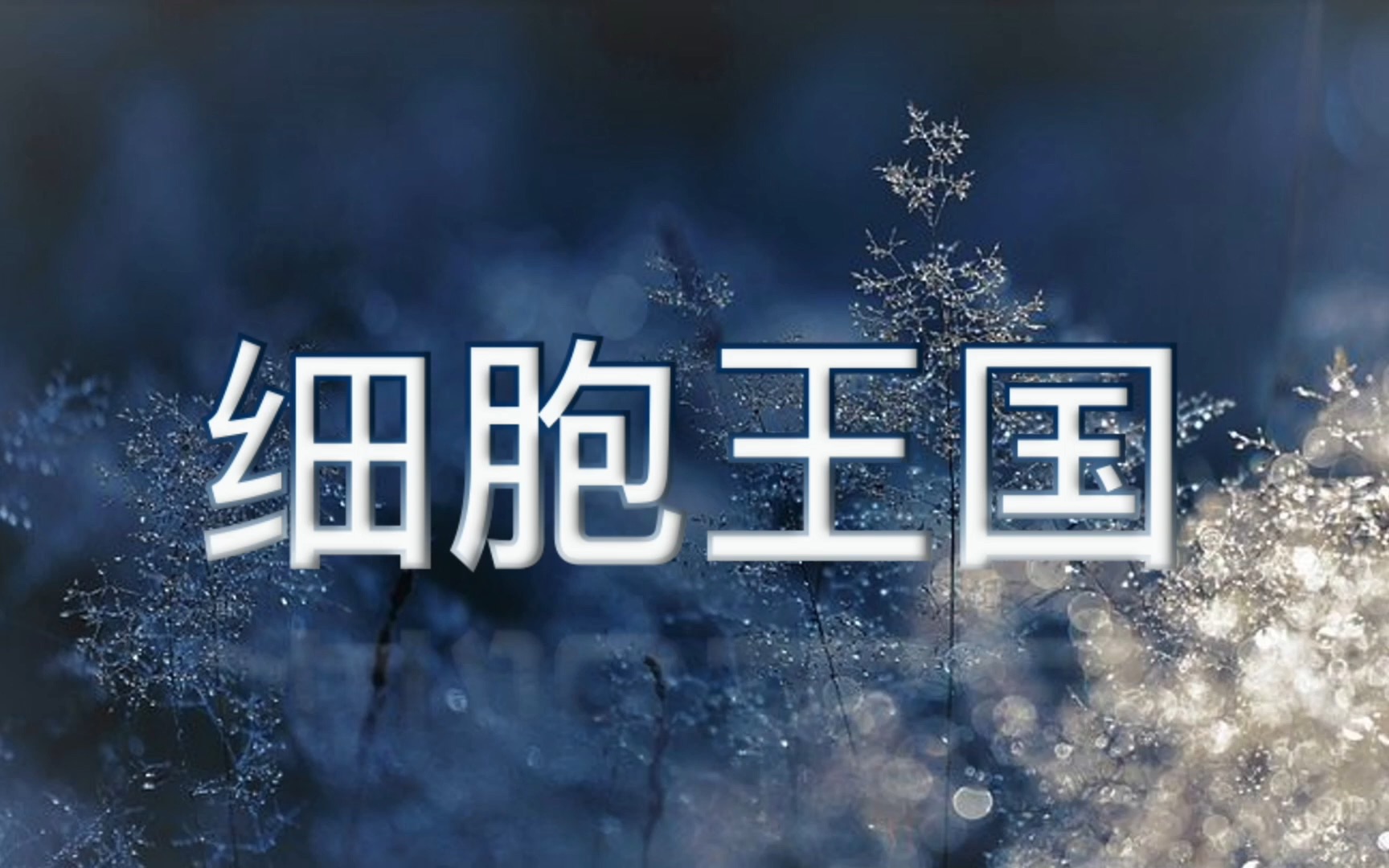 生物知识情景剧《细胞王国》