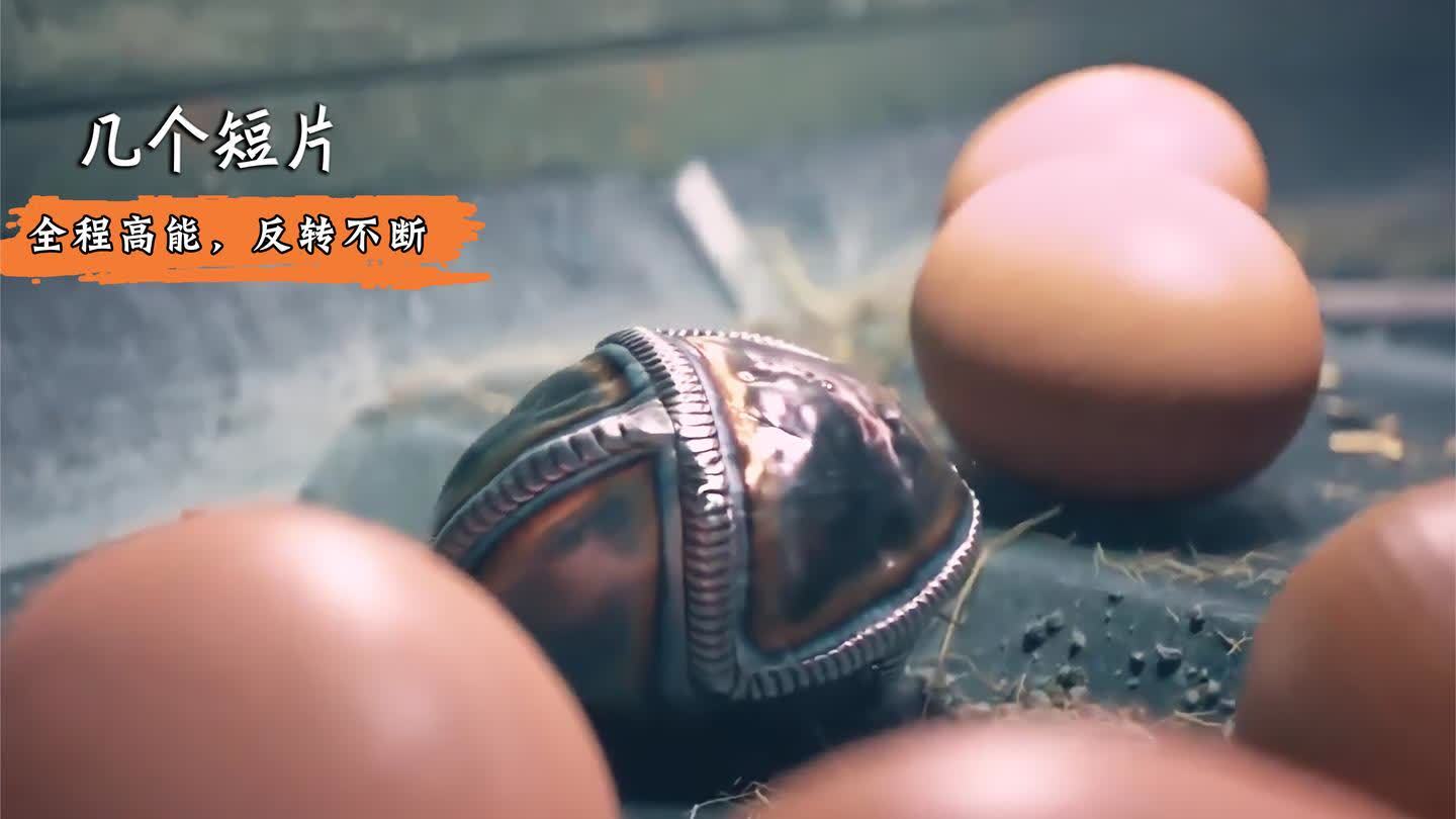 高能动画短片:公鸡难产会被扔进烤鸡店,天才鸡靠编程逃出生天