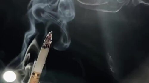 “见过你爱的样子”