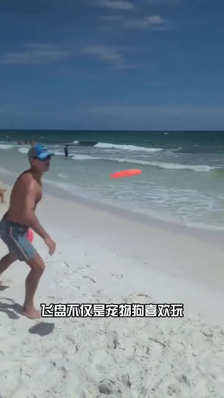 回旋飞盘的不同玩法!#科普时间
