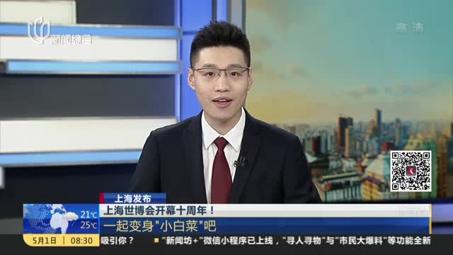 上海世博会开幕十周年!一起变身“小白菜”吧