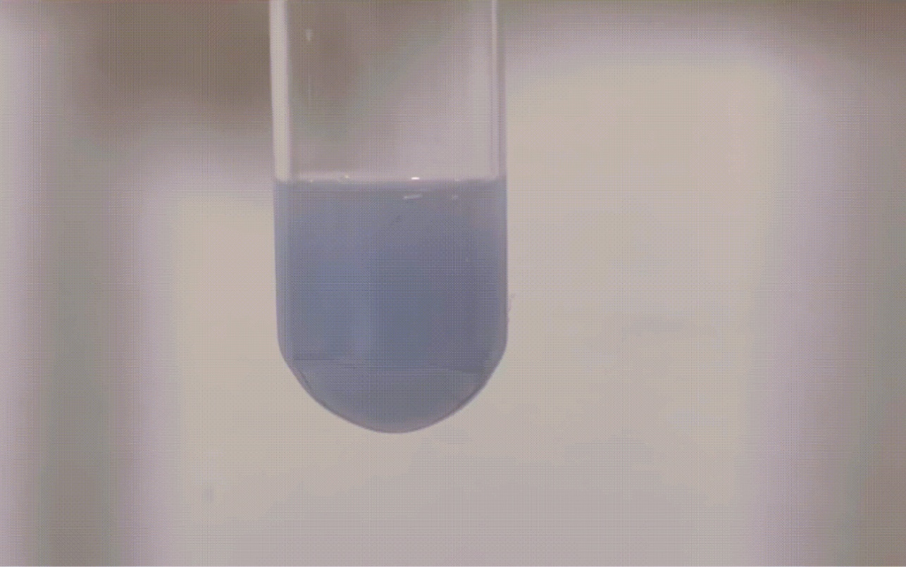 901化学实验室-蛋白质的检验
