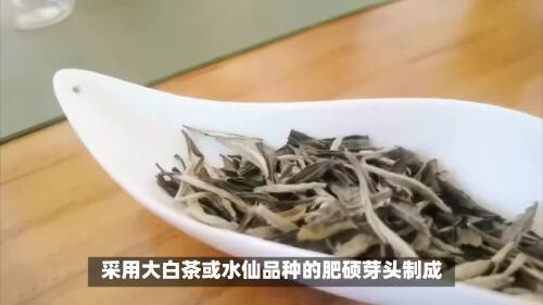 白茶的分类有哪四种?