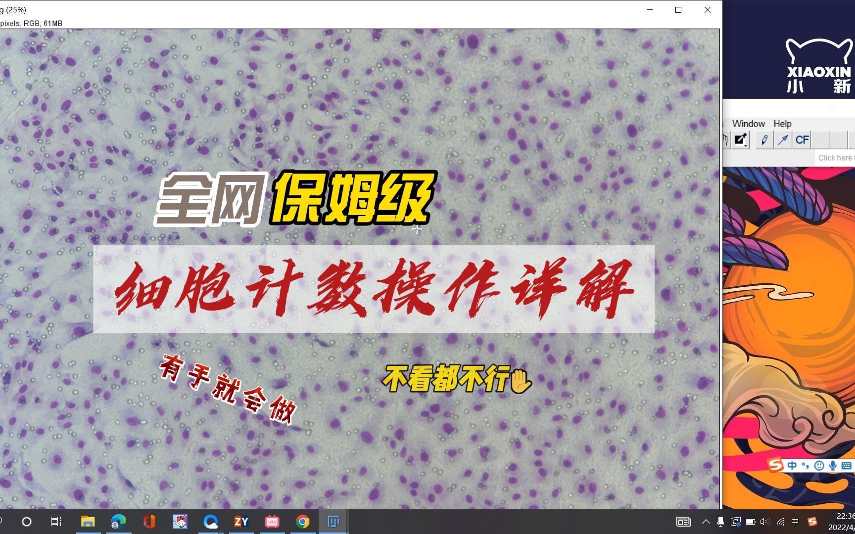 应用Image J进行Transwell迁移细胞计数